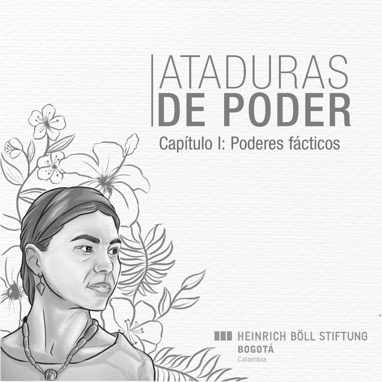 Ataduras de poder. Capítulo I: Poderes Fácticos | Heinrich-Böll ...