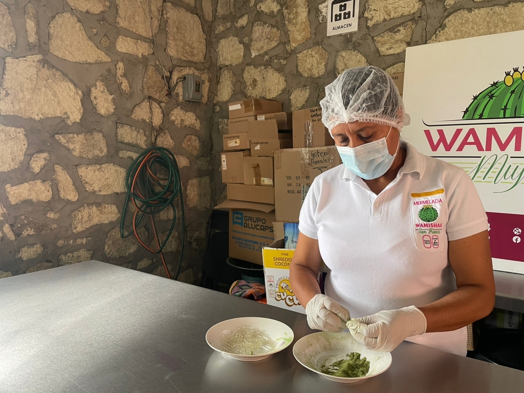 Wamishas: derriban machismo para ser empresarias | Heinrich-Böll ...