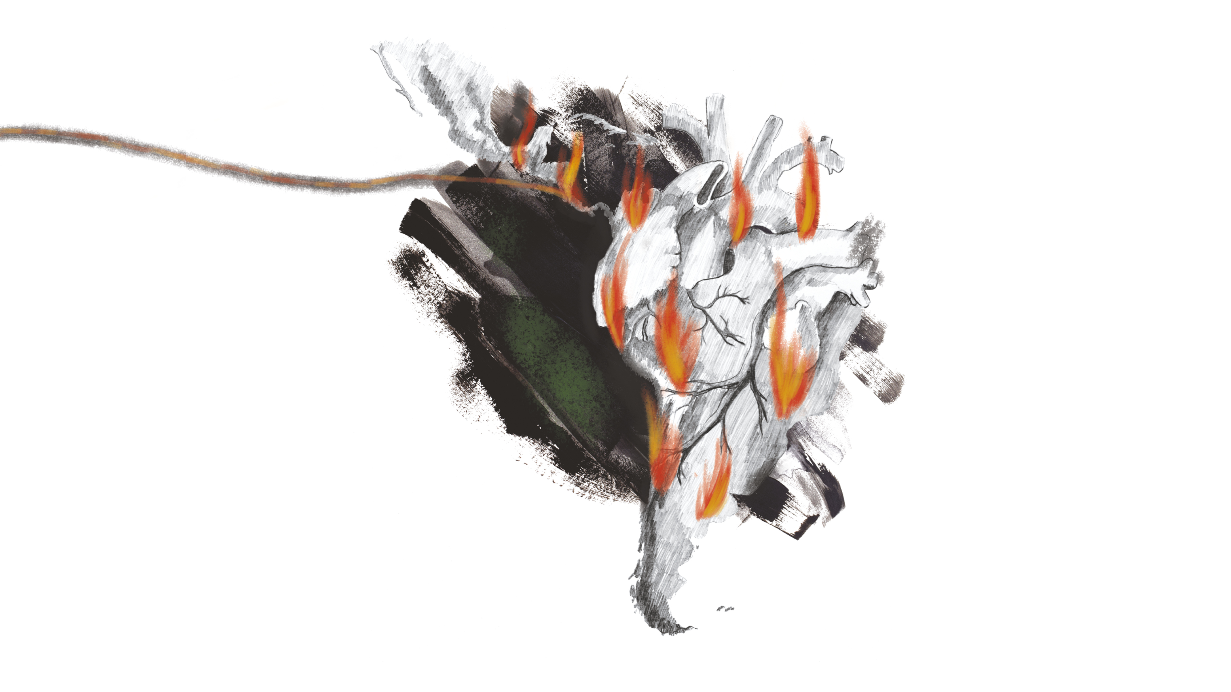 Poderes fácticos - Captura del Estado, redes criminales y violencia en ...