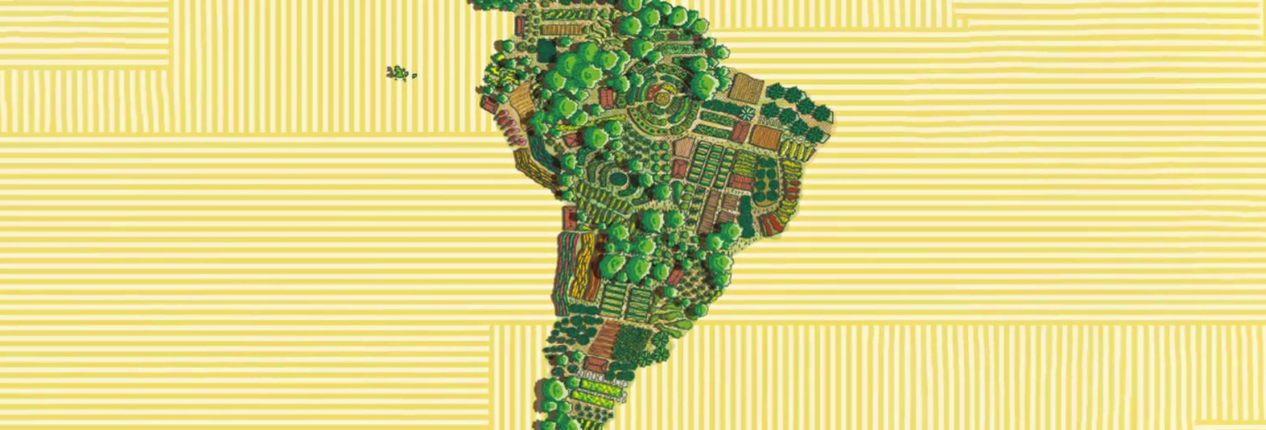 Agroecología en Latinoamérica. Un futuro necesario | Heinrich-Böll ...